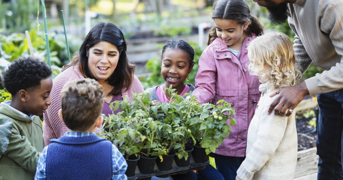 Whole Child Policy: Investing Resources Equitably and Efficiently ...