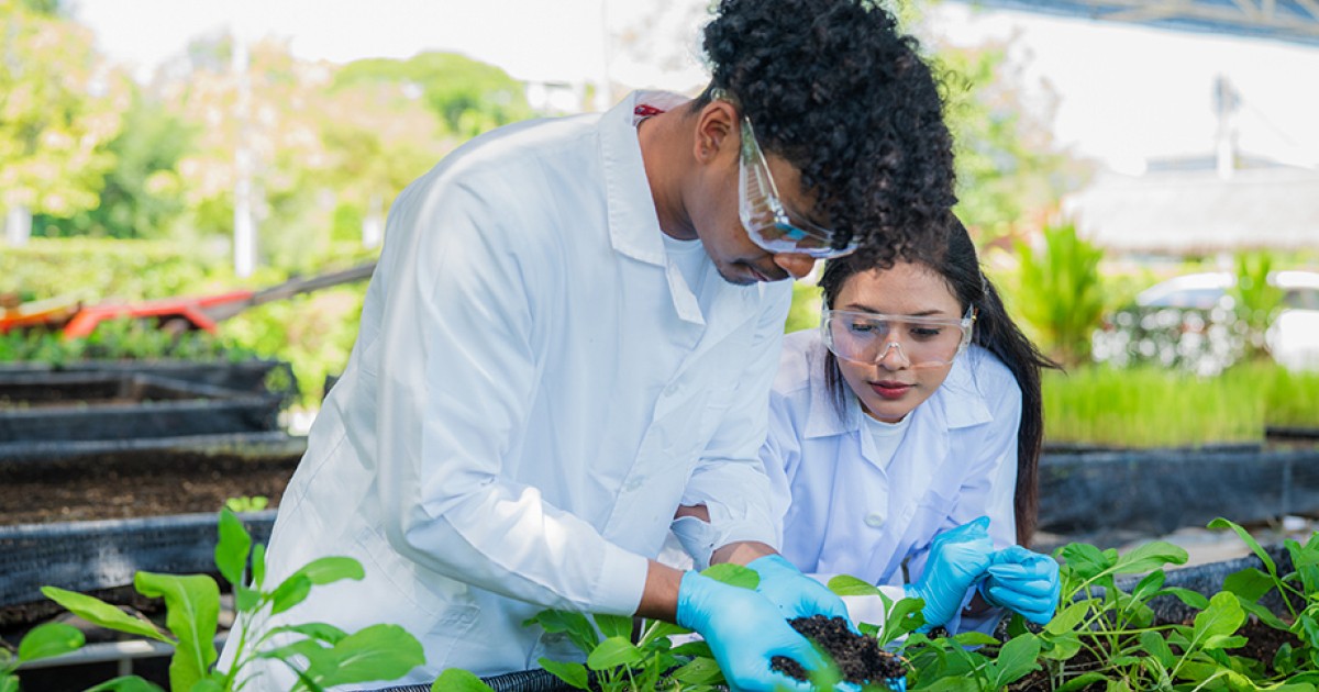 Oakland High School Redesign: How a Community-Centered Campus Created ...